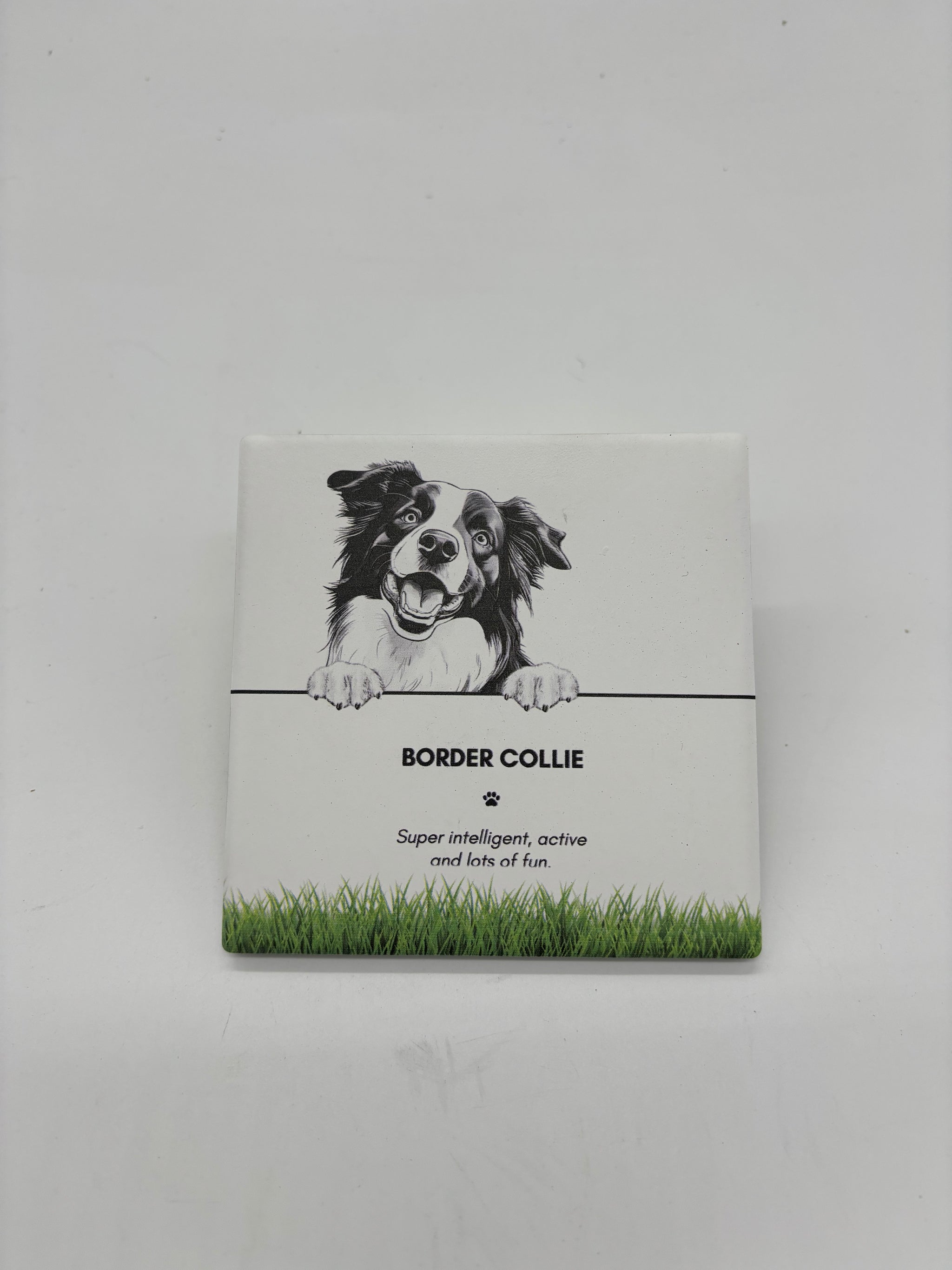 PET COASTER - Border Collie
